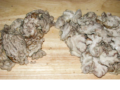 How to Cook Beef Brain - Delishably