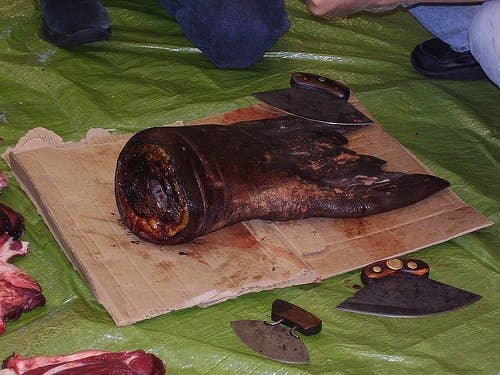 14 of the World's Most Disgusting and Challenging Foods - Delishably