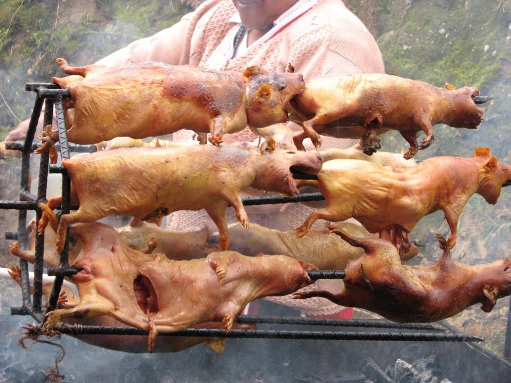 14 of the World's Most Disgusting and Challenging Foods - Delishably