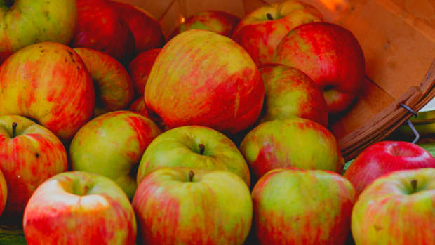 Which Are the Best Apples for Cooking? - Delishably