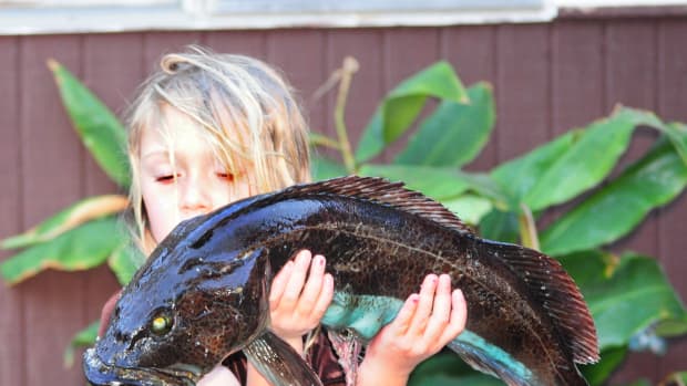 How to Catch, Clean, and Cook Blue Crabs - Delishably