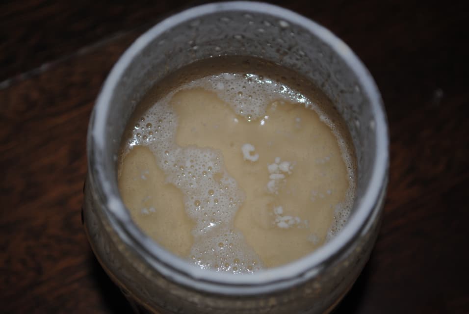 How to Make a Starter and Bake a Fabulous Loaf - Delishably