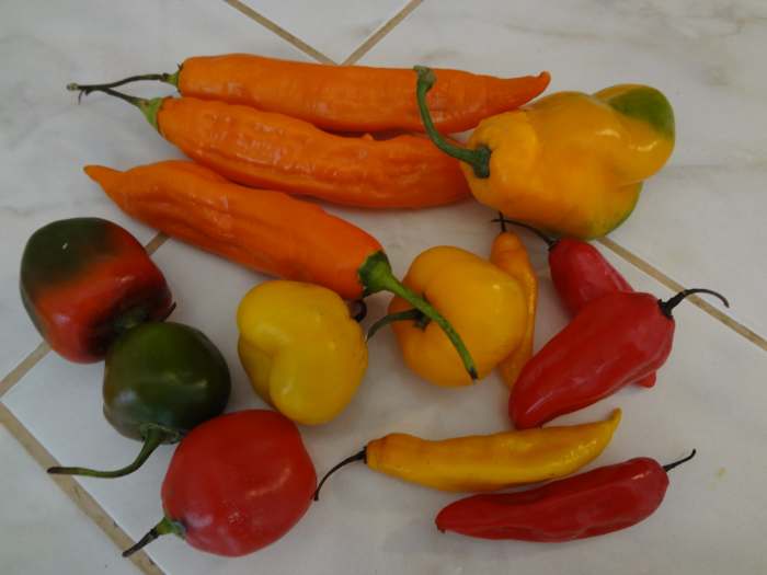 How to Make the Best Chili con Carne - Delishably