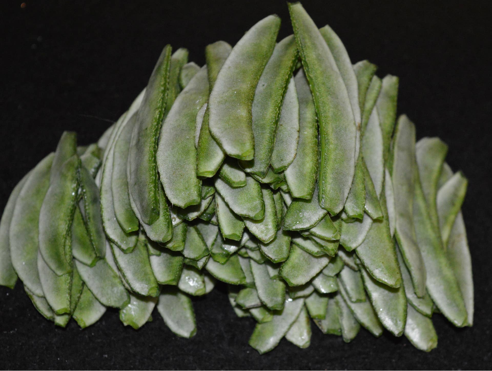 Chapparada Avarekai (Indian Broad Beans) Stir-Fry Recipe - Delishably