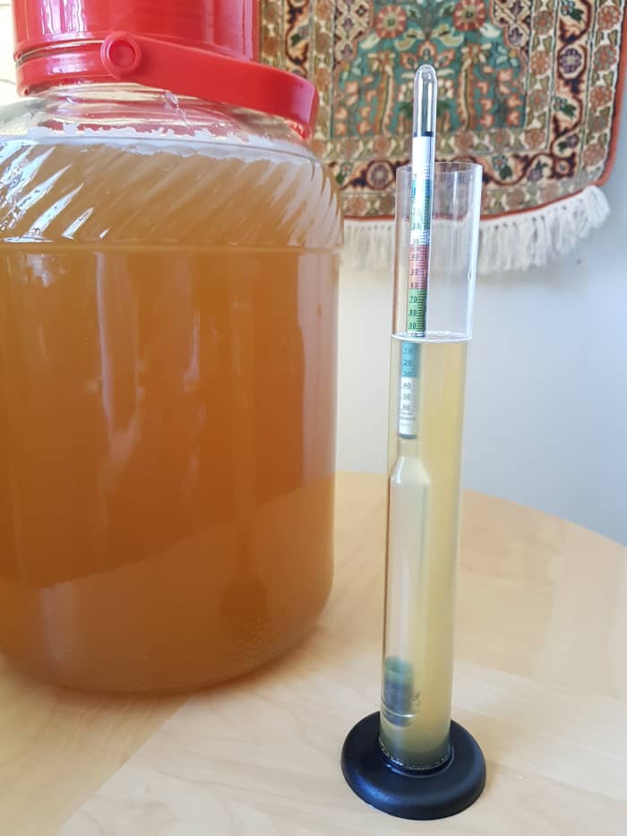 How to Make Fruity and Spicy Mead: Step-by-Step Guide - Delishably