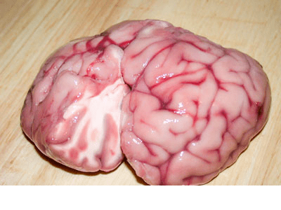 How to Cook Beef Brain - Delishably