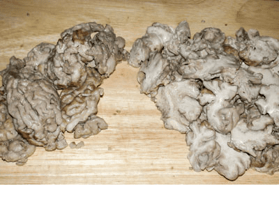 How to Cook Beef Brain - Delishably