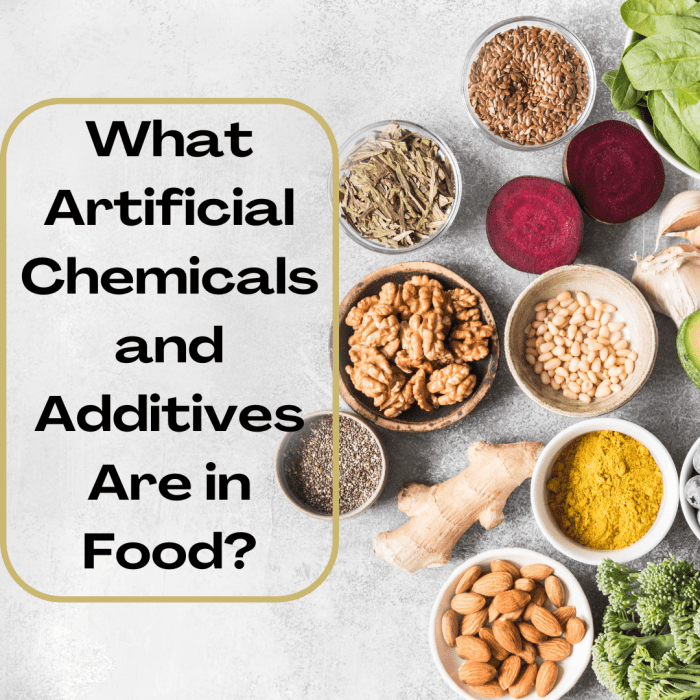 Artificial Chemicals and Additives in Food - Delishably