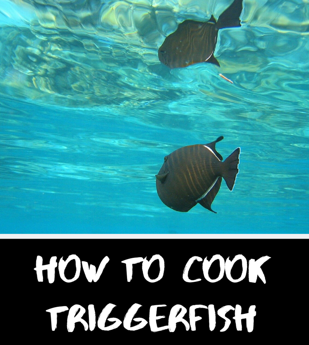 How to Cook Triggerfish on the Grill or in the Oven - Delishably