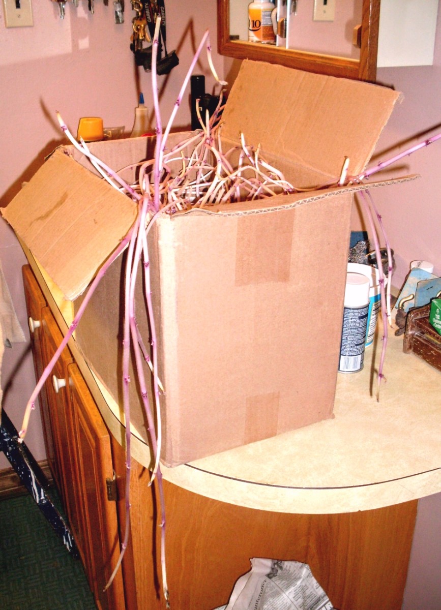 How to Store Root Vegetables in Boxes in a Cellar: Illustrated Guide ...