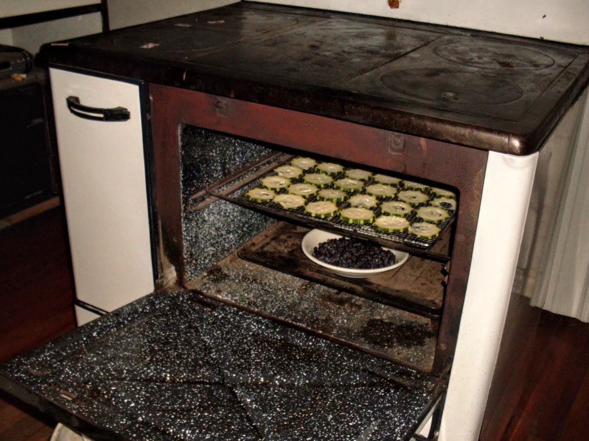 How to Dry Summer Squash: An Illustrated Guide - Delishably