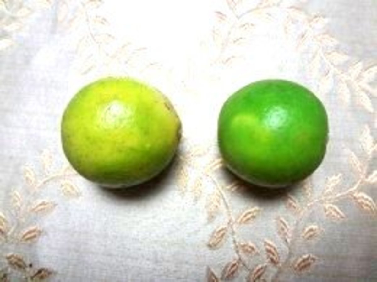 How to Make the Best Key Limeade: Easy Recipes - Delishably