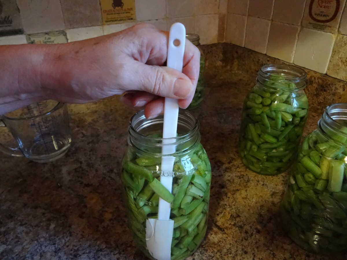 How to Start Canning Food - Delishably