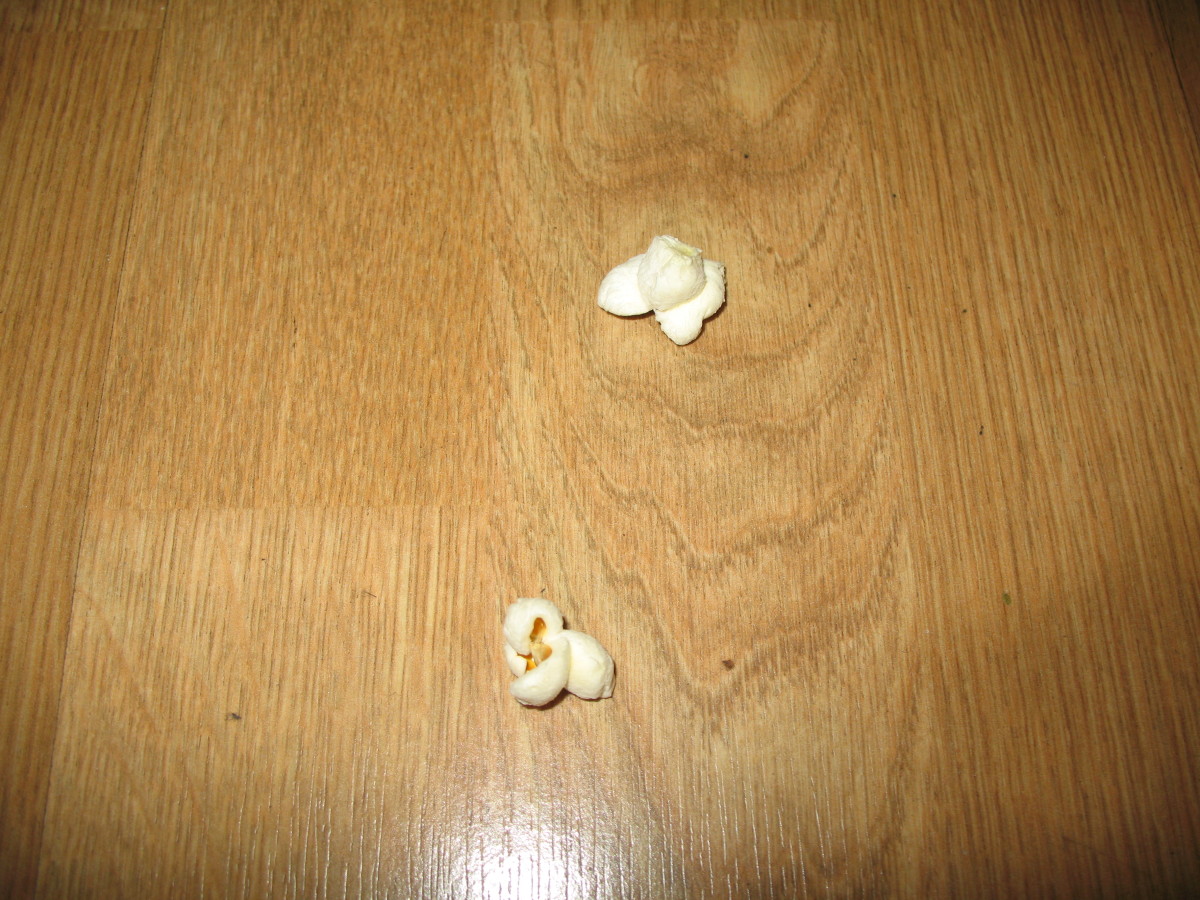 What to Do if You Drop Food on the Floor - Delishably