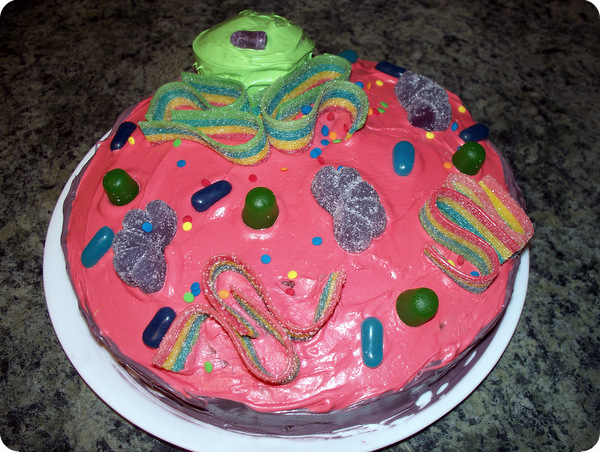 Animal Cell Project Cake