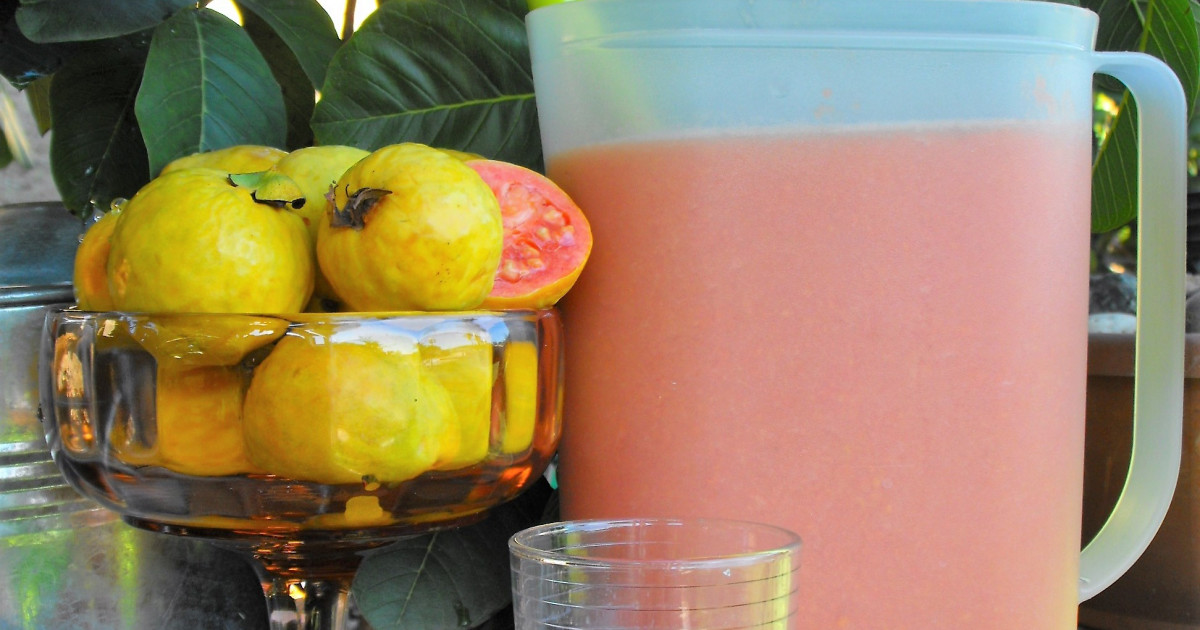 How to Make Fresh Pink Guava Nectar - Delishably