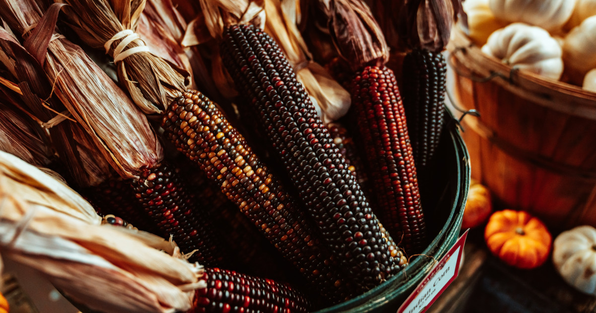 7 Authentic Colonial Thanksgiving Recipes - Delishably