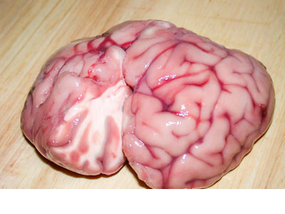 How to Cook Beef Brain - Delishably