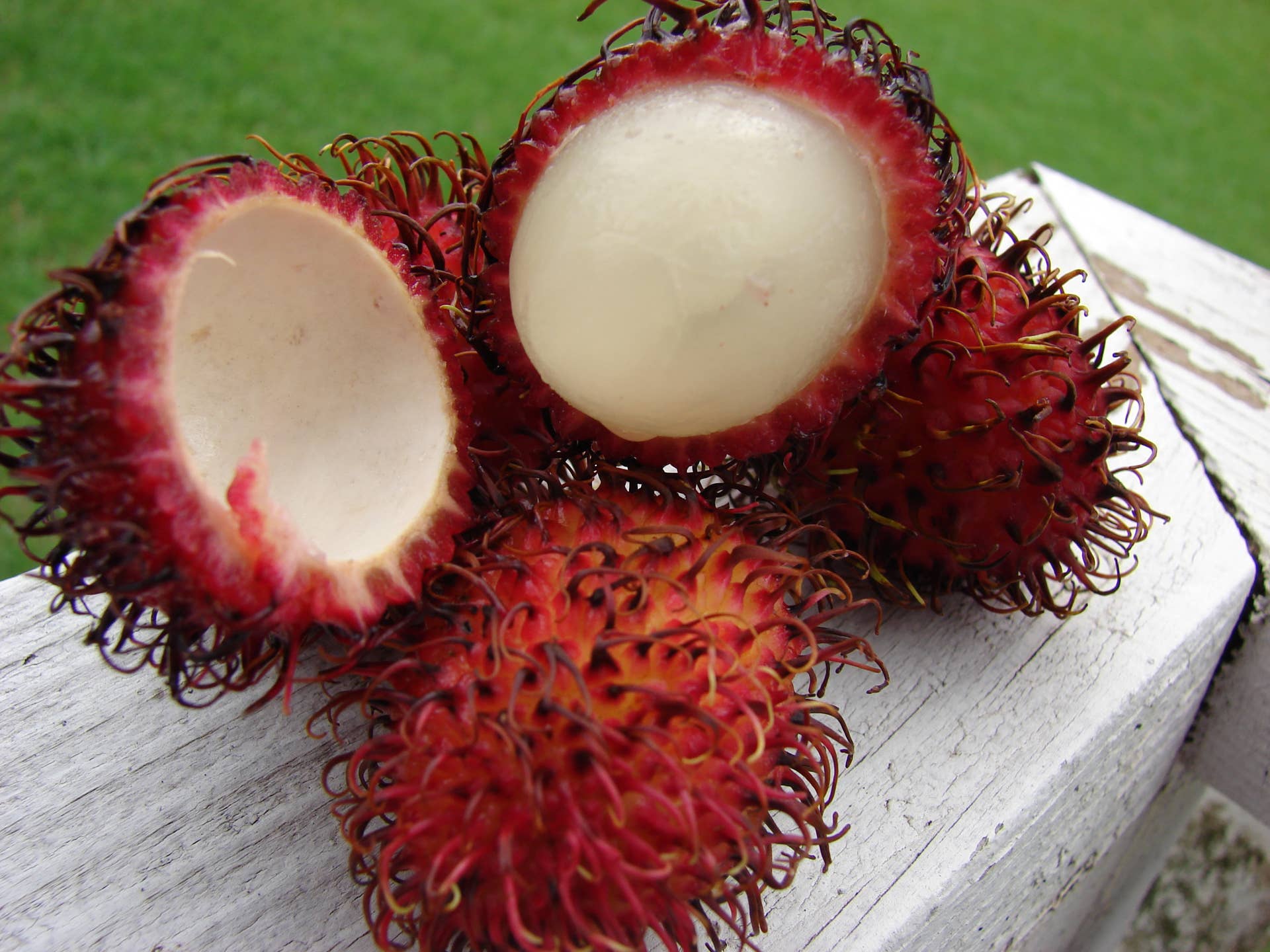 16 Popular Tropical Fruits of Malaysia - Delishably