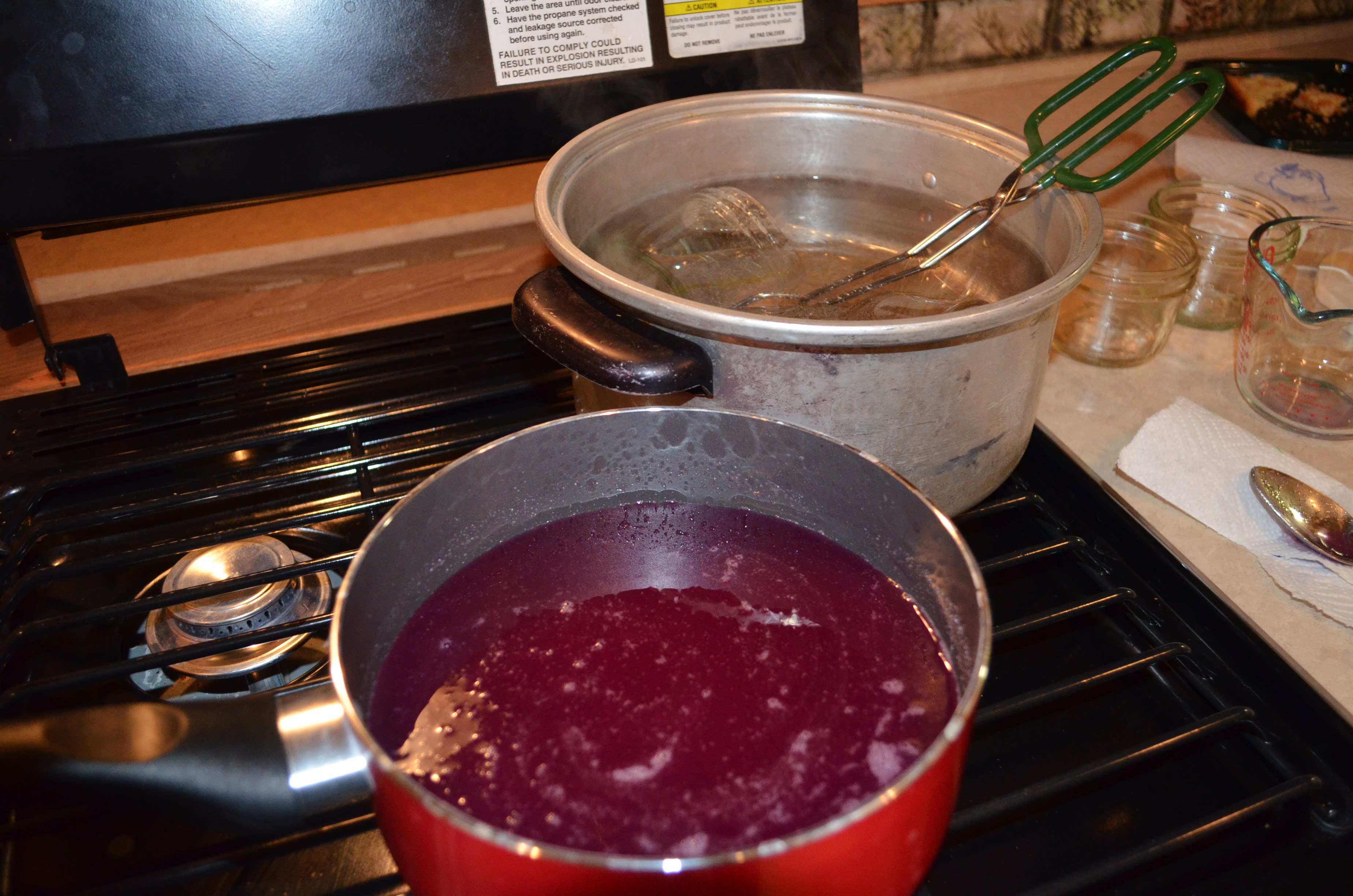 Fireweed Syrup Recipe: How to Make Flower-Infused Syrup - Delishably