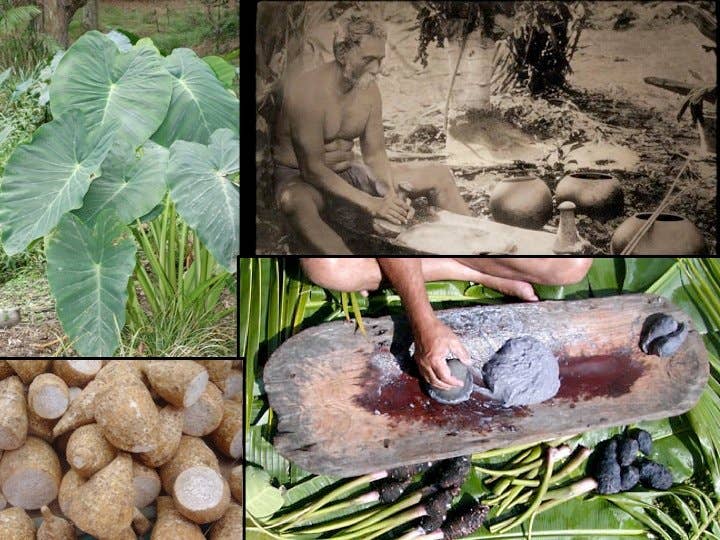 The Hawaiian Diet: Traditional Native Vs. "Local" Food - Delishably