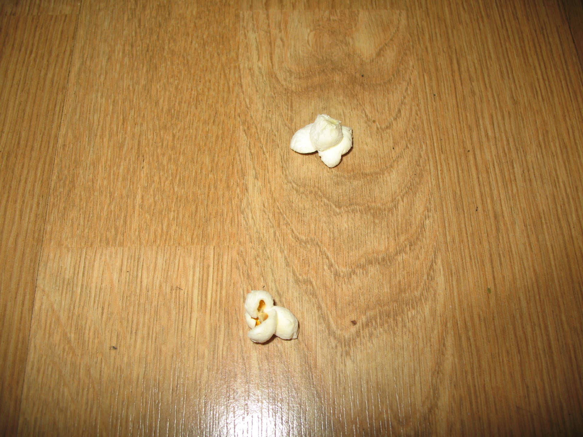 What to Do if You Drop Food on the Floor - Delishably