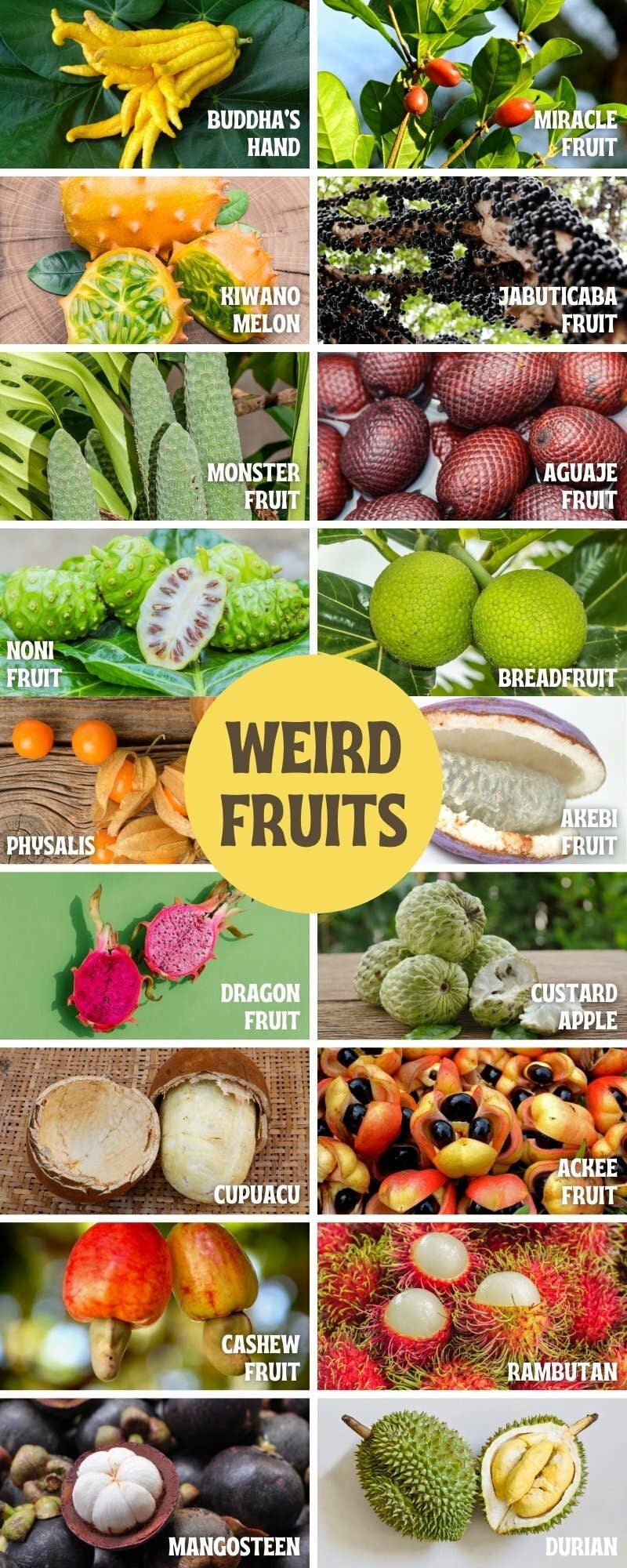 The World’s Weirdest and Most Exotic Fruits - Delishably