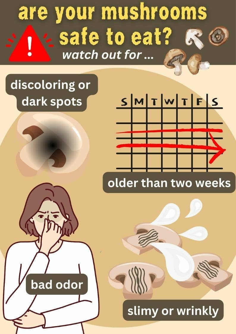 How to Tell When Mushrooms Are Bad: 5 Telltale Signs - Delishably